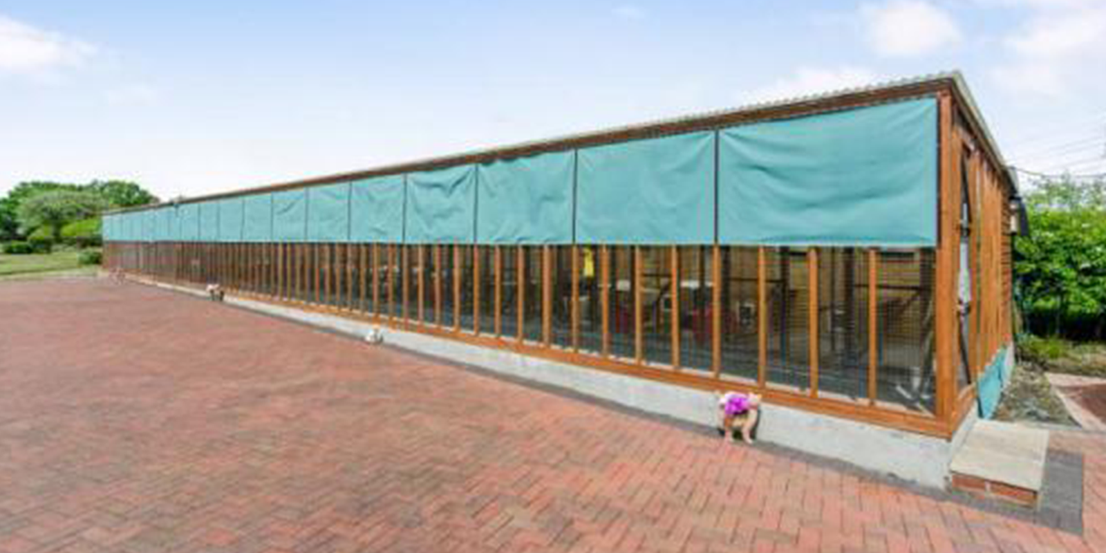 Harwyn Cattery - The Friendly, Family Run Cattery